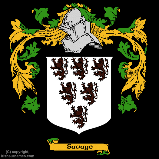 Savage Coat Of Arms Family Crest Free Image To View Savage Name